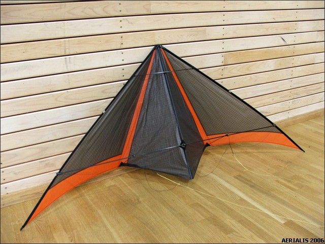 Kite Research - Bailey Rose's Art